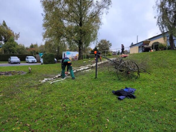 Werkweek Groen 2024 - Gooise Praktijkschool